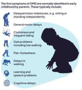 Duchenne muscular dystrophy - PTC Therapeutics (United States)